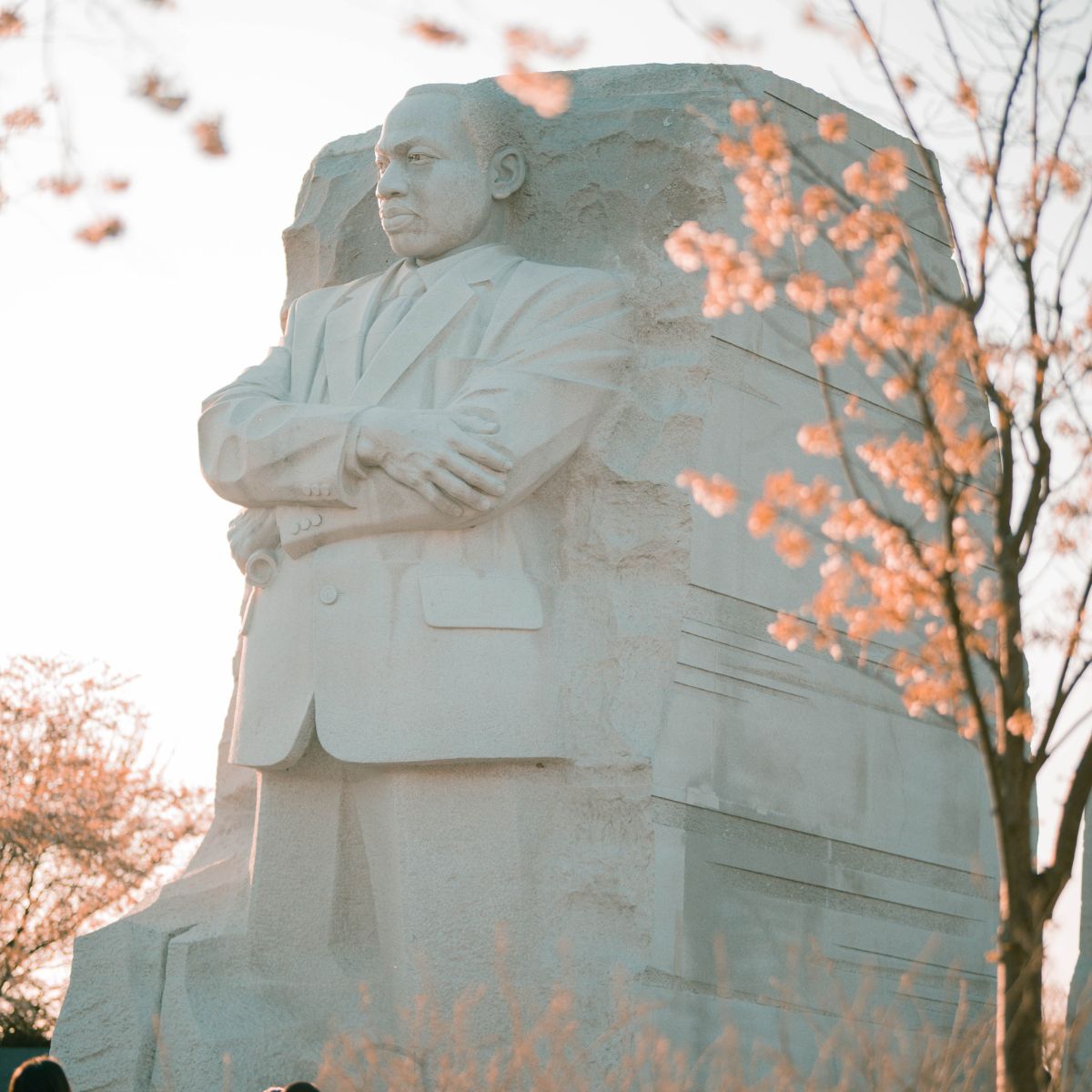 An Analysis of Martin Luther King Jr.'s Leadership Skills - Ace Point ...
